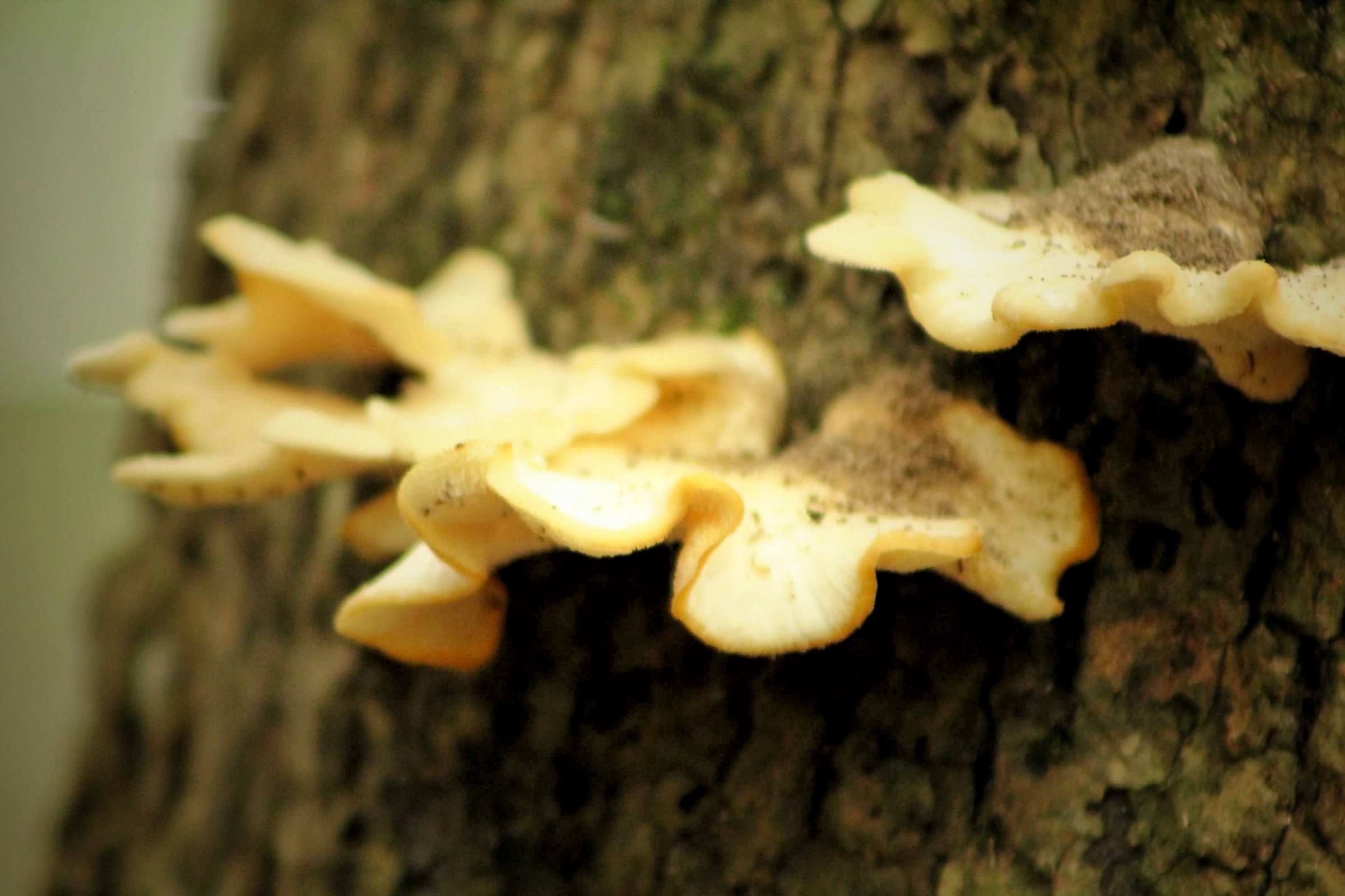 Tangled Words – All About Hope