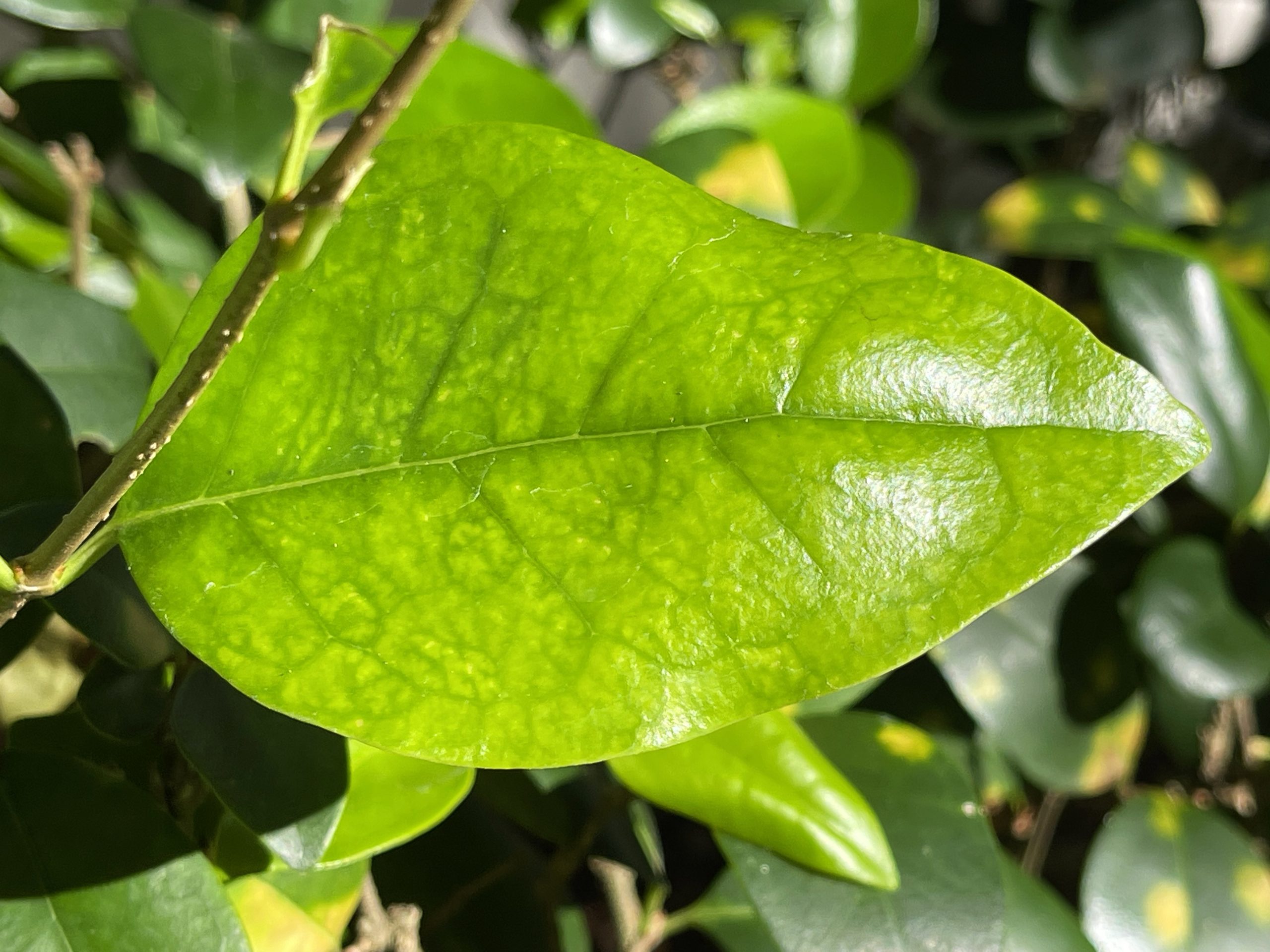 Prep Work – All About Hope