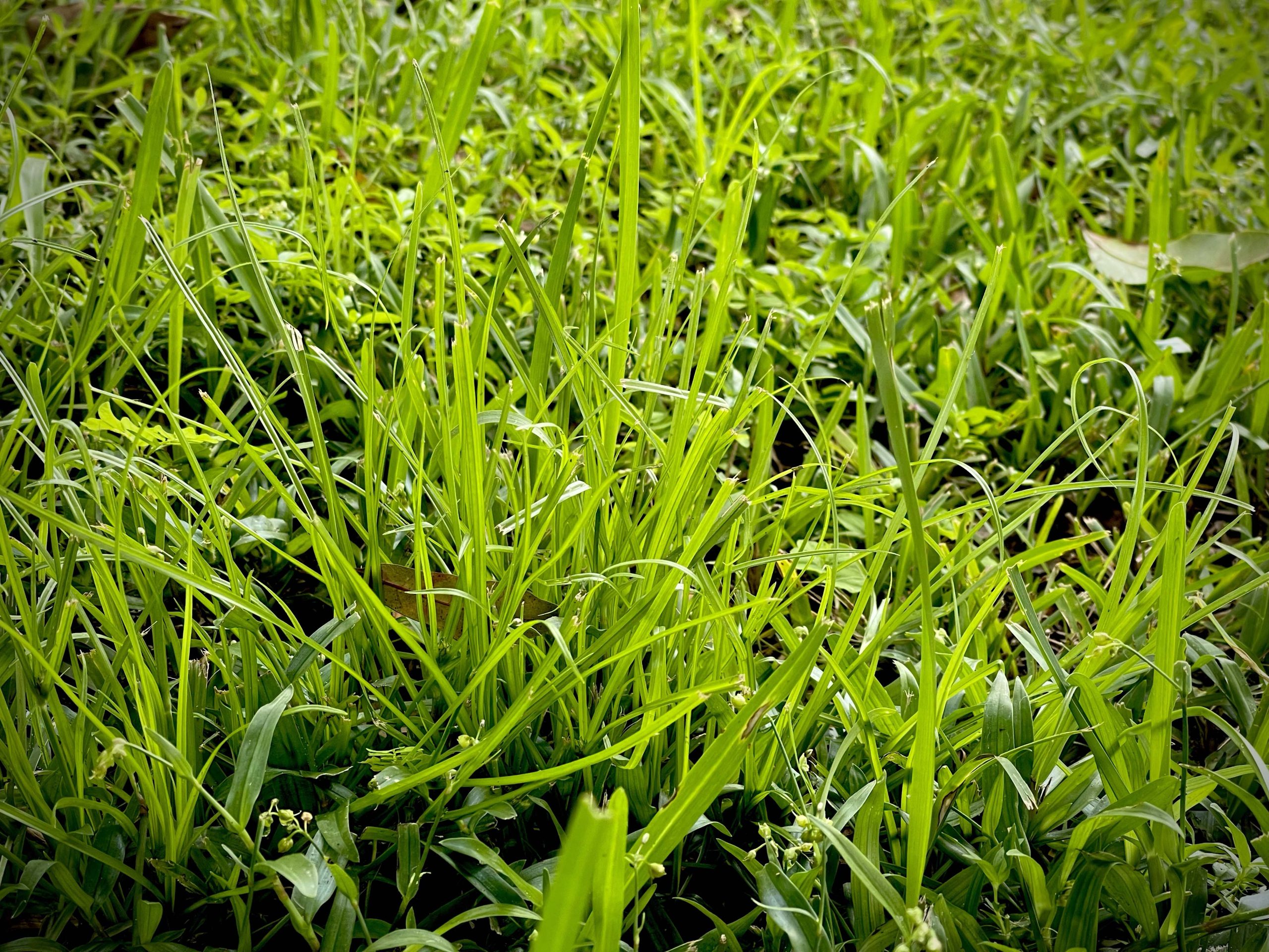 Who Do You Say I Am? – All About Hope